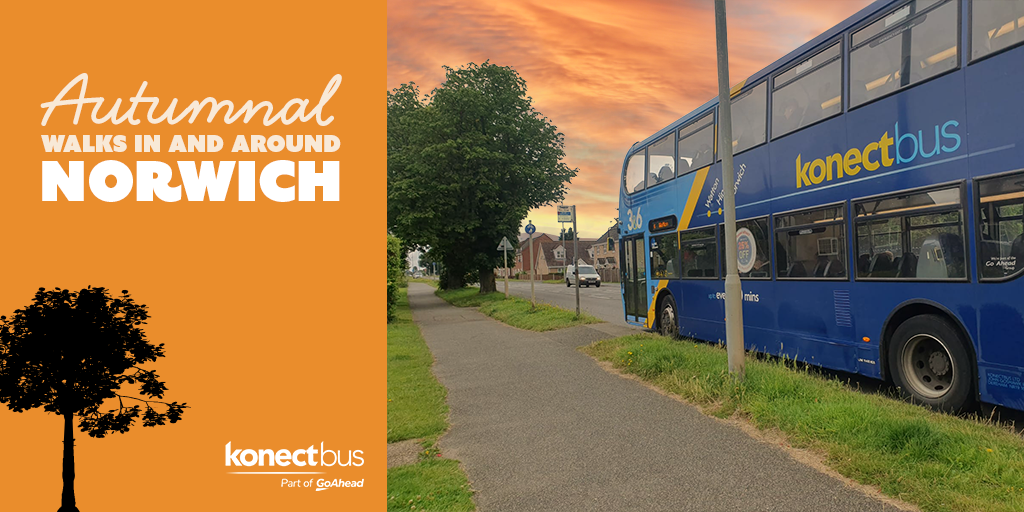 Autumnal Walks in Norwich: A Journey Through Nature and Comfort - konectbus